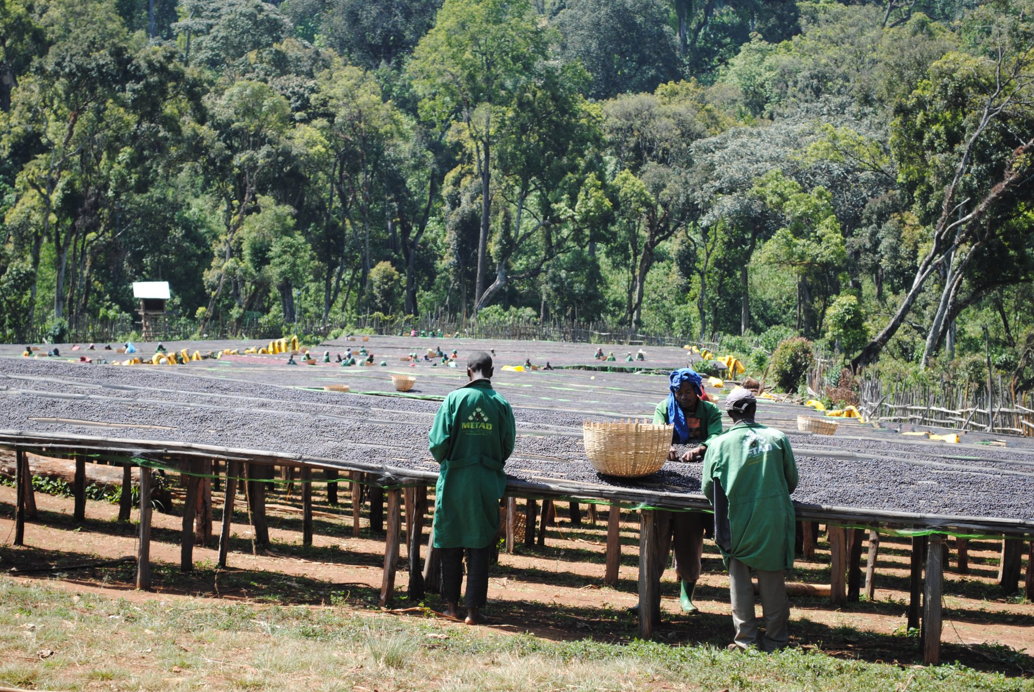 Gallery – Metad plc.