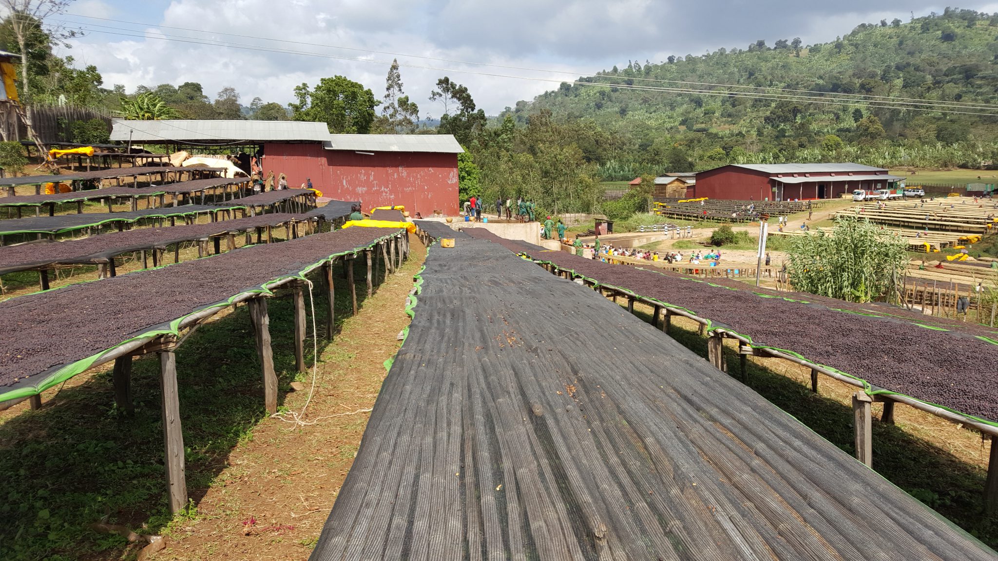 Gallery – Metad plc.